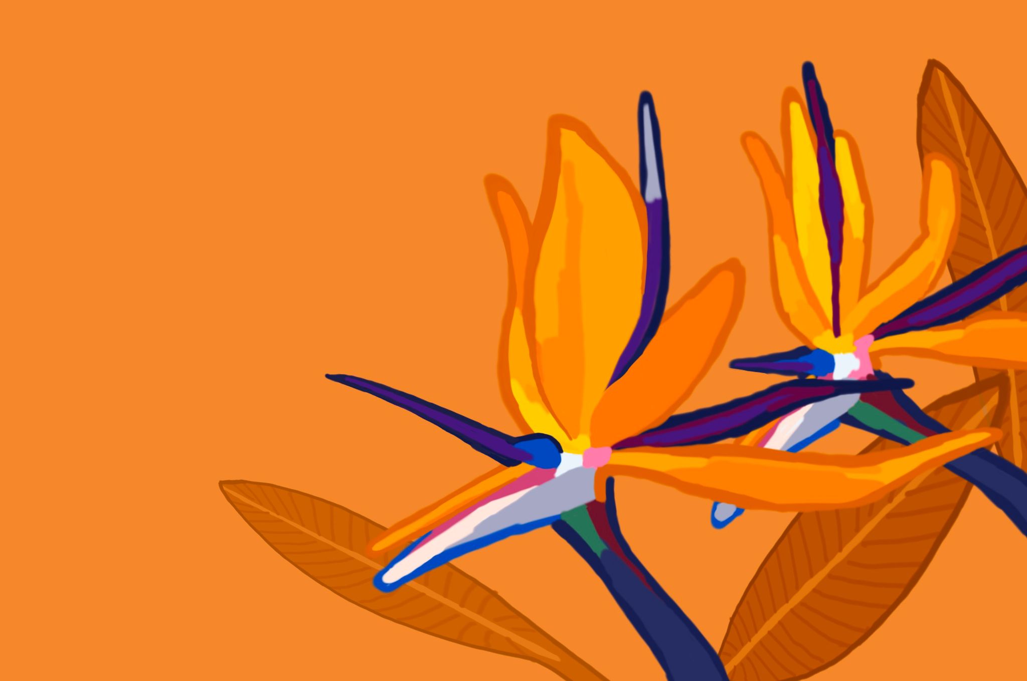 Home | Philpot Education